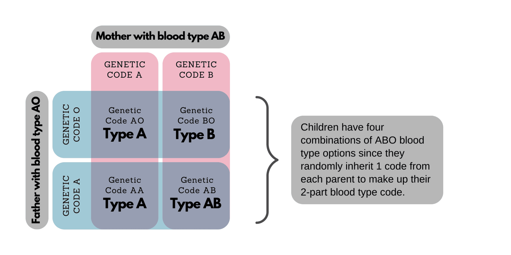 Genetic blood type explained - Carter BloodCare