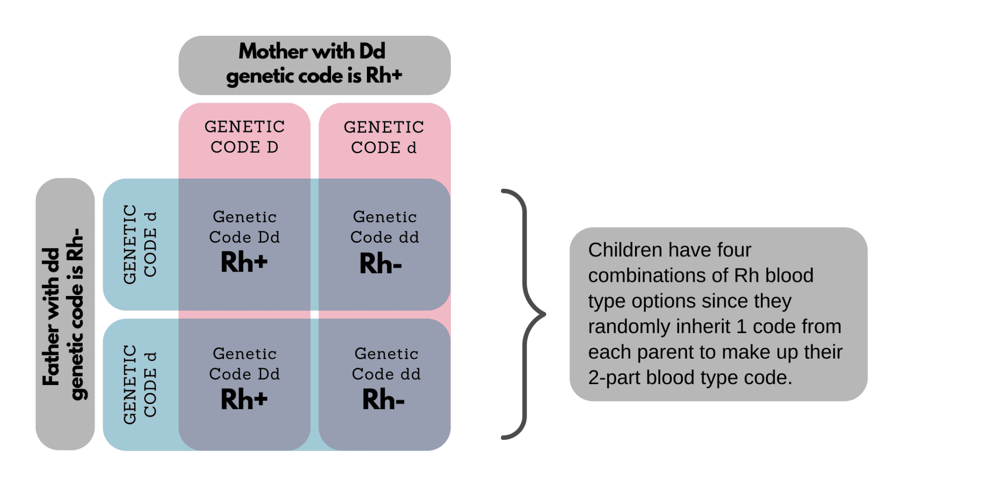 Genetic blood type explained - Carter BloodCare