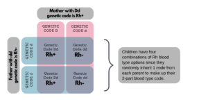 Genetic blood type explained - Carter BloodCare